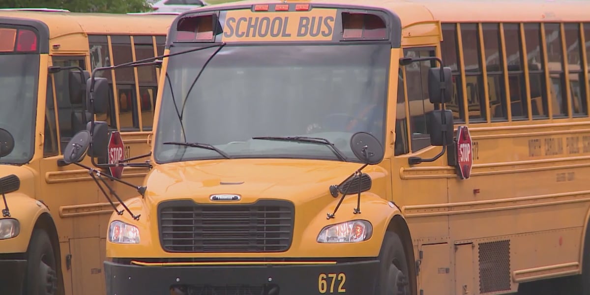 ‘Unsafe for everyone’: Officials warn against illegally passing school ... ‘Unsafe for everyone’: Officials warn against illegally passing school ...