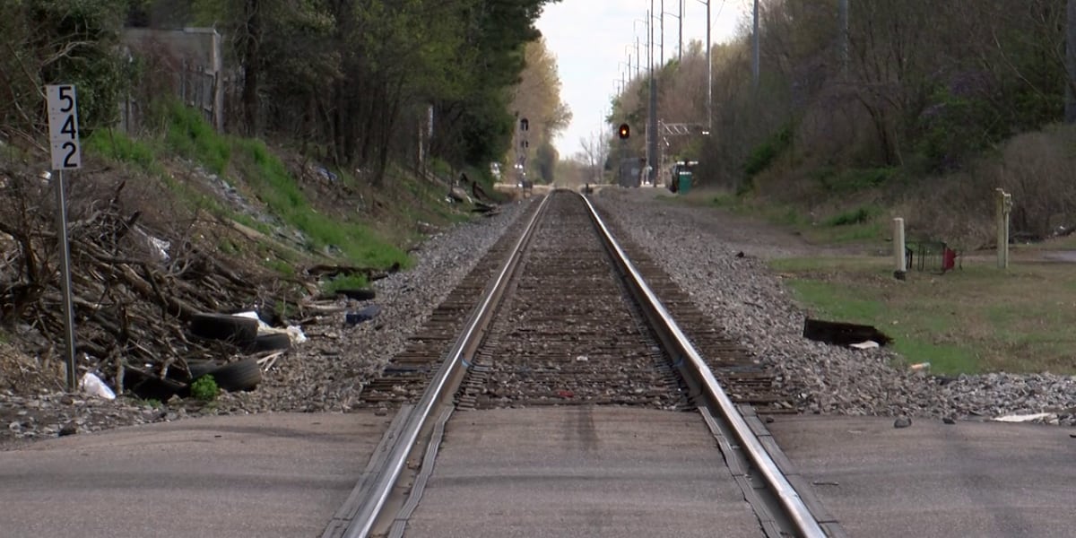 Pedestrian hit, killed by train in Northeast Charlotte, CMPD says Pedestrian hit, killed by train in Northeast Charlotte, CMPD says